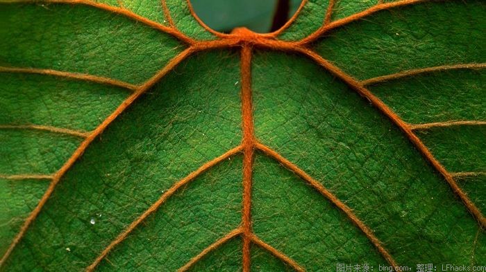 Python 的 Keyword-Only Arguments 理解 | 自由行