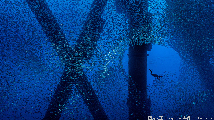 Python demo 脚本学习 -beer.py | 晚花行乐